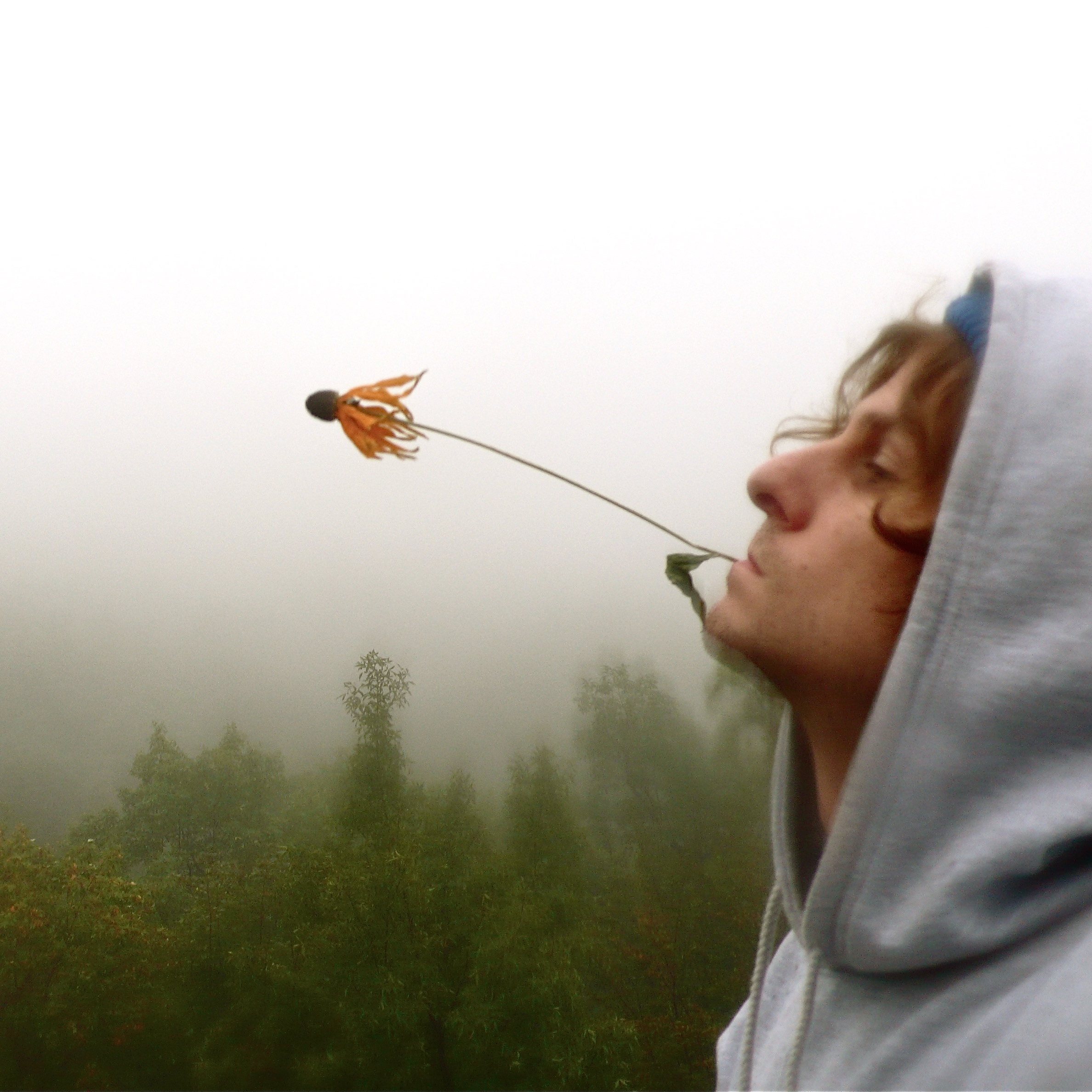 MICROWORLDS - dublab