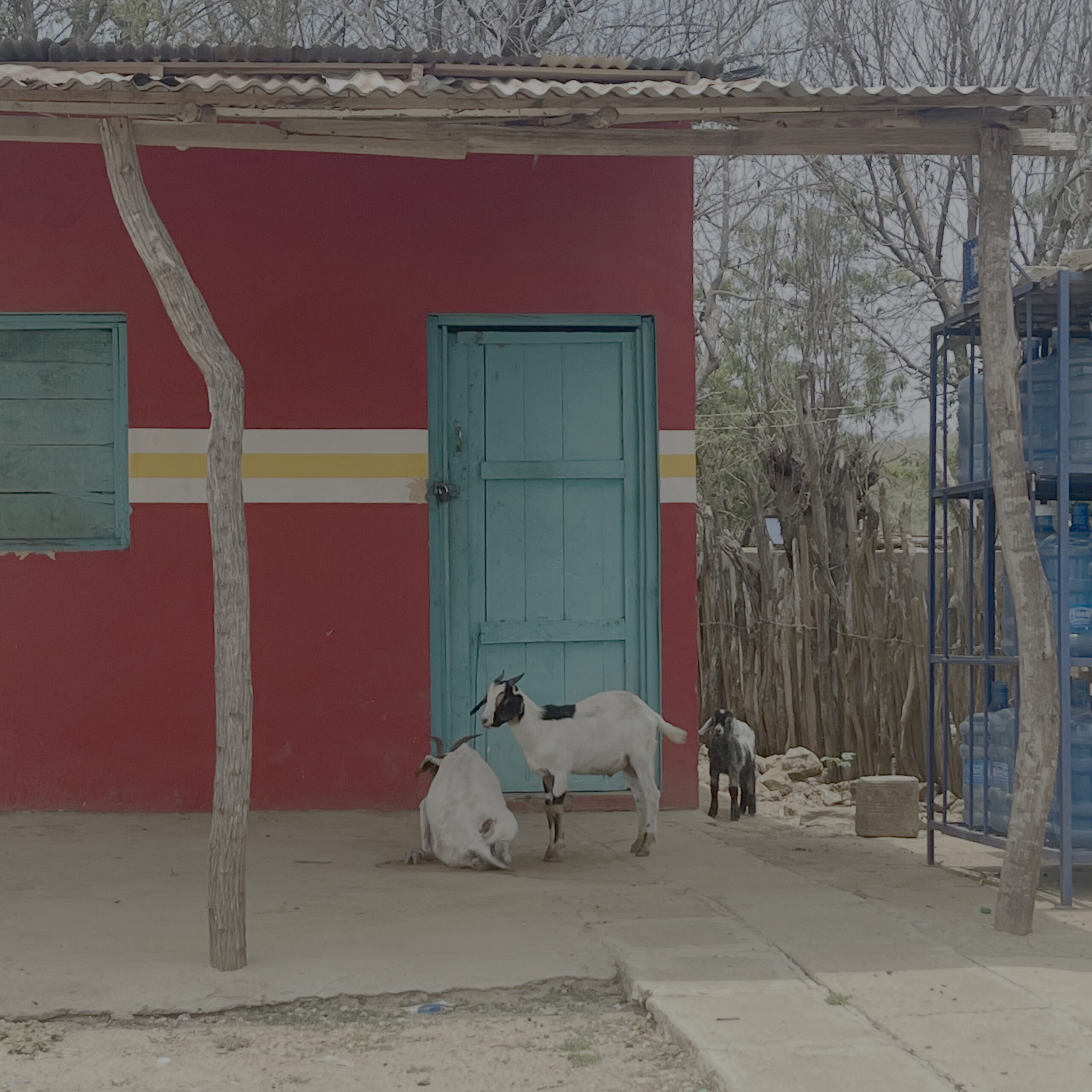 Madeleine Sturma and hatt — Guanábana: Cabo Verde 60s-90s (02.16.25 ...