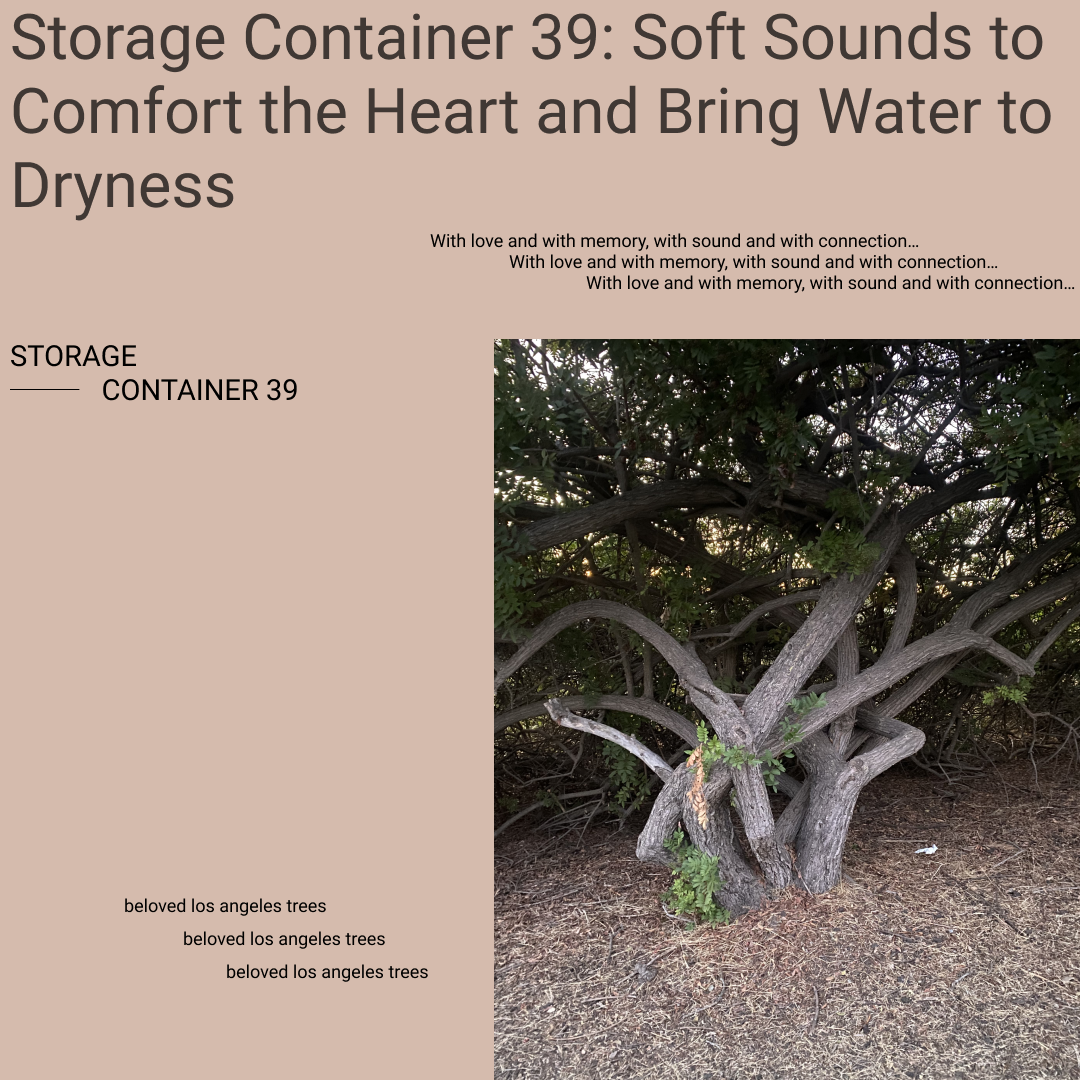 Callie Ryan — Storage Container (03.01.25) - dublab