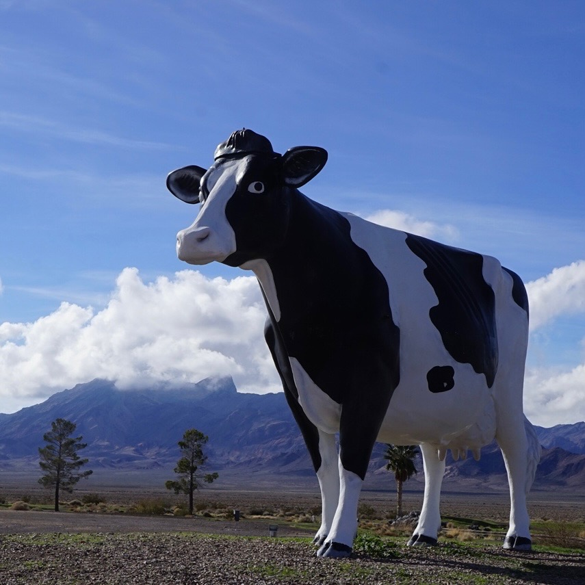 Kins w/ DJ Mystery Meat — Footnotes (01.07.26) - dublab